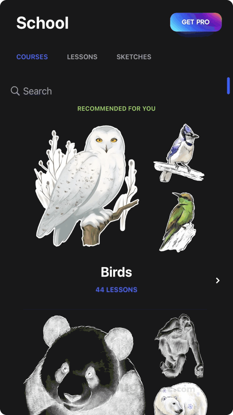 Sketchar - Pricing, Features, and Details in 2025